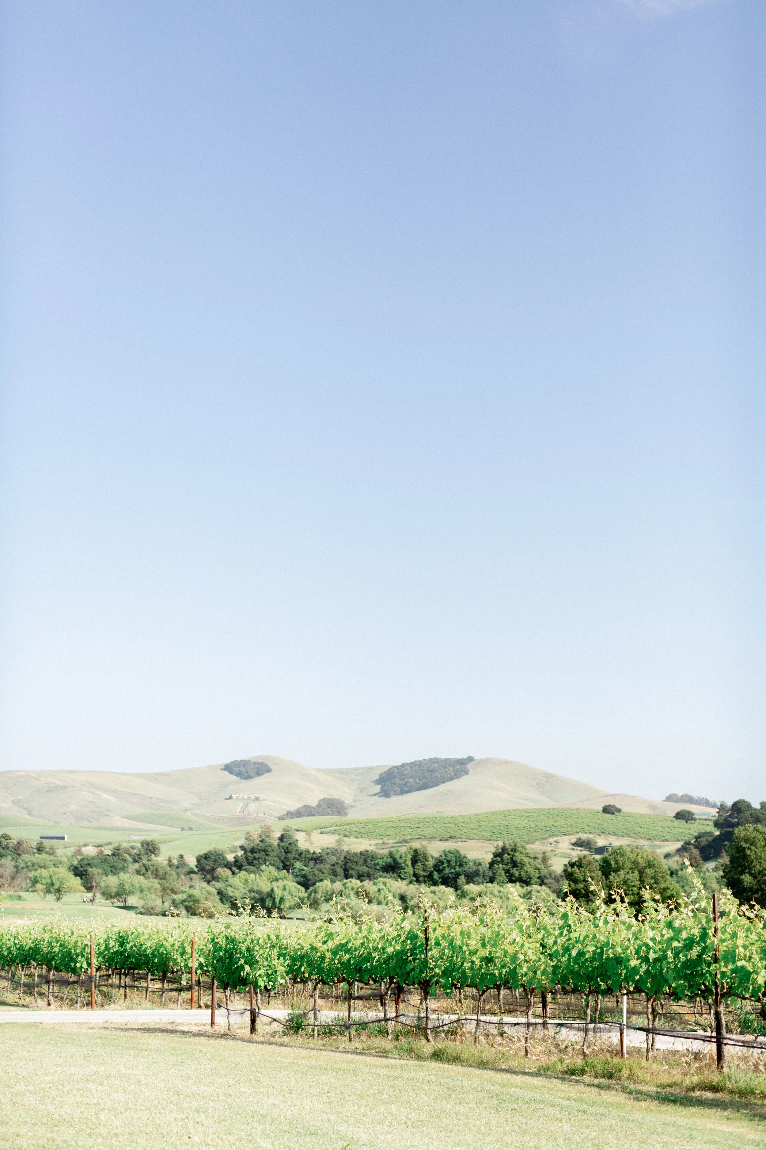 Eagle Vines Golf Club Wedding Photographer - Matt&Megan