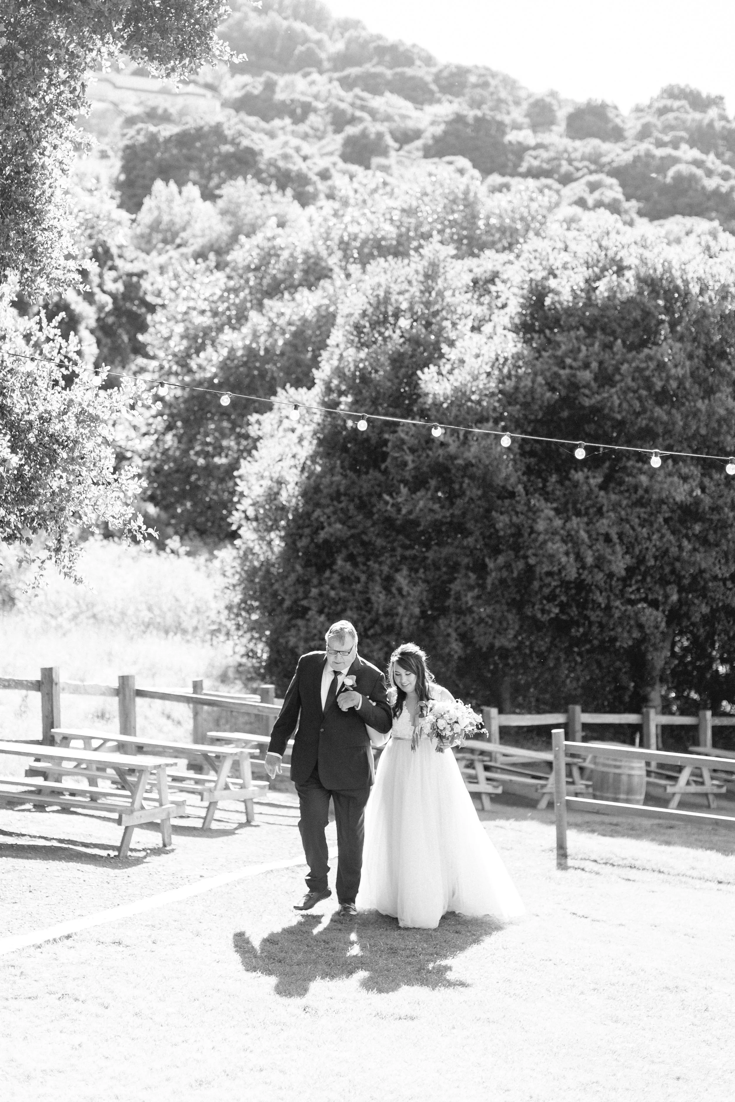 Picchetti Winery Wedding Photos - Daen&Rochelle