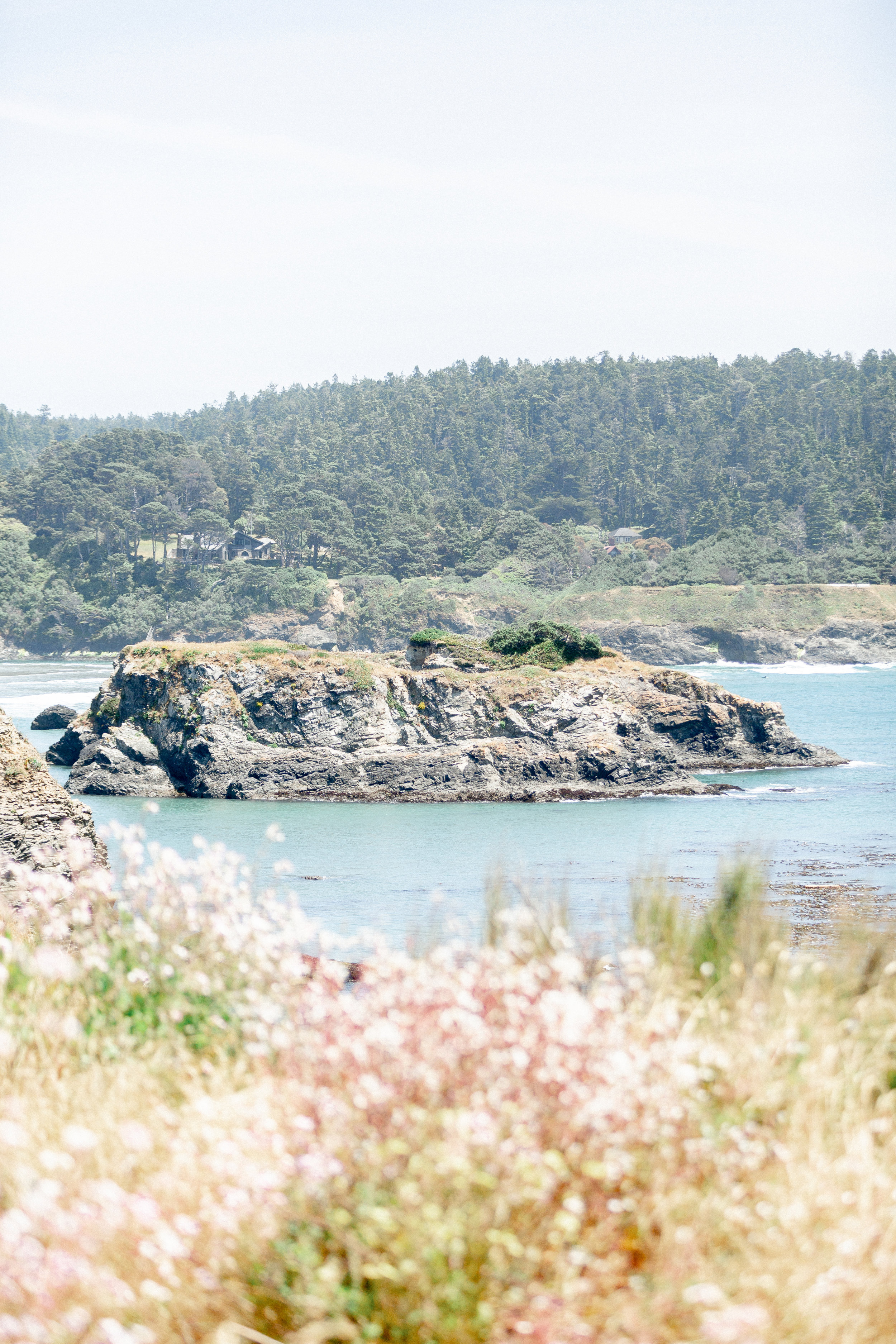 Destination MacCallum House Inn Mendocino Wedding - Ollie&Jenni