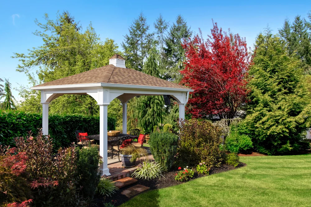 Pavilions — The Casual King