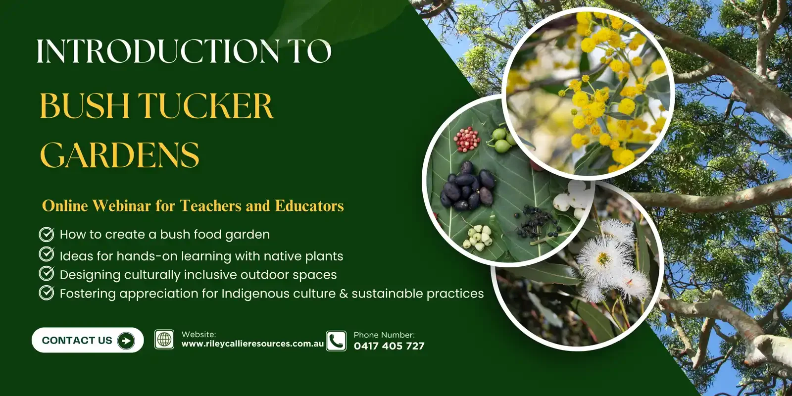 Introduction to Bush Tucker Gardens in Early Childhood and Primary ...