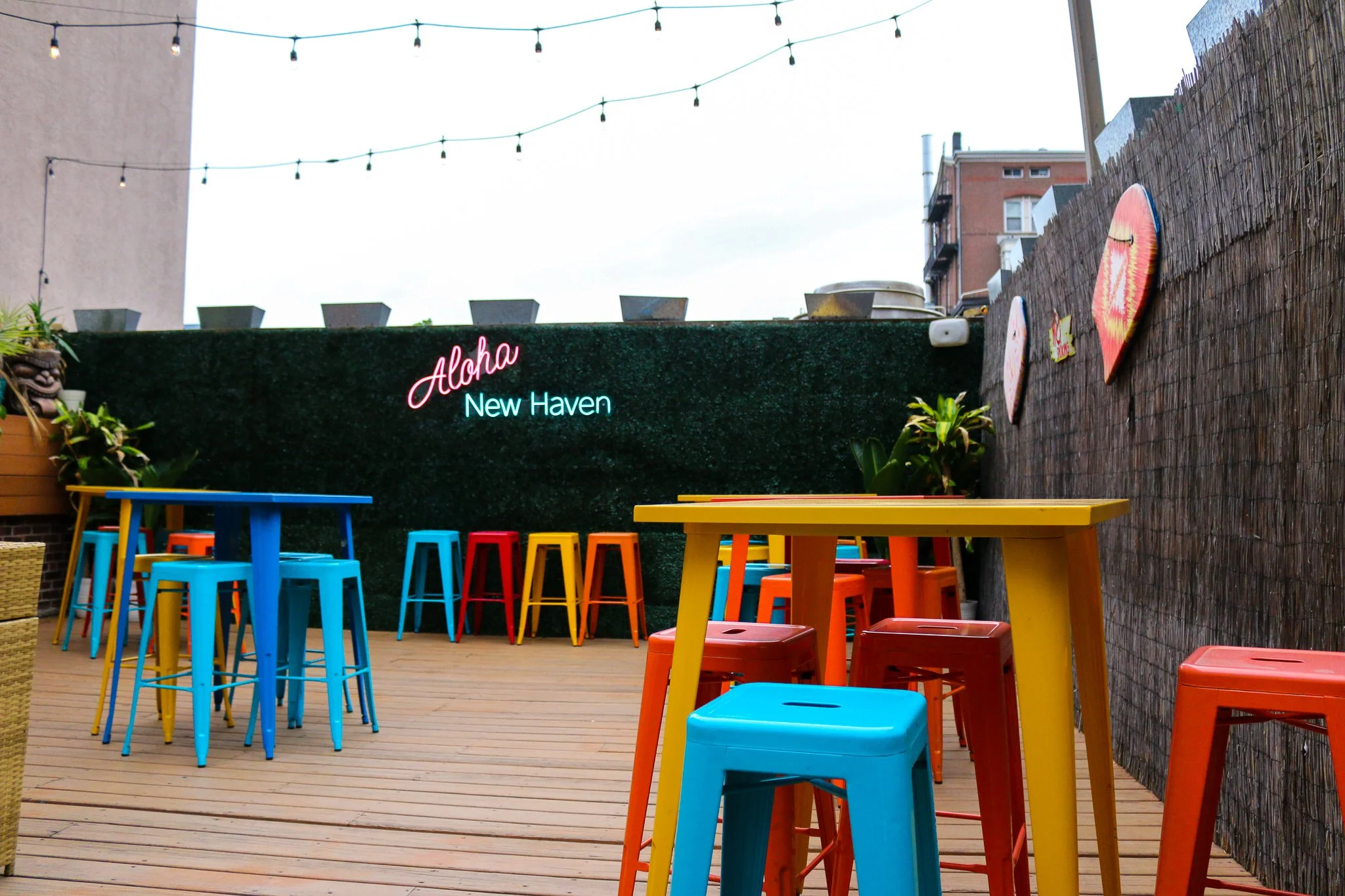 Elm City Social Tiki Bar — Elm City Social New Haven