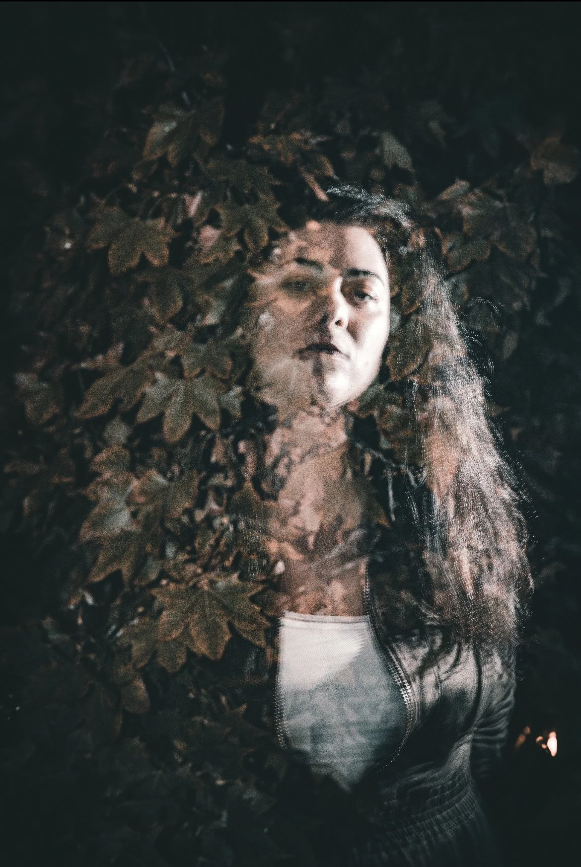 CV / PROYECTOS — LAURA BARCELÓ