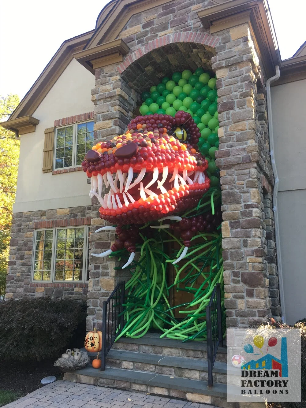 Dream Factory Balloons