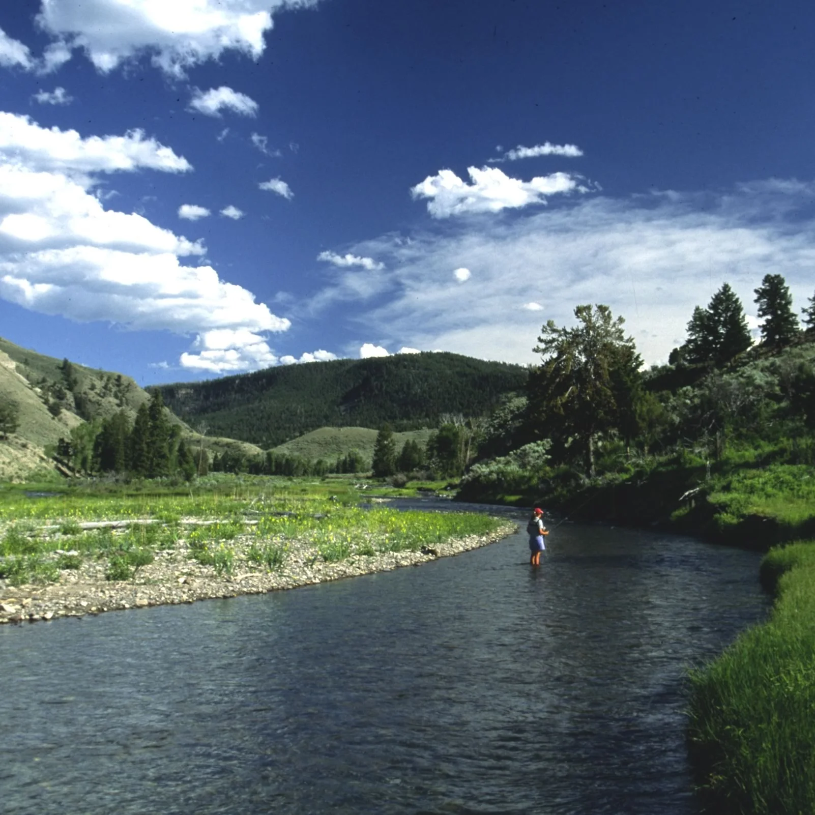 River Overviews — Firehole Ranch