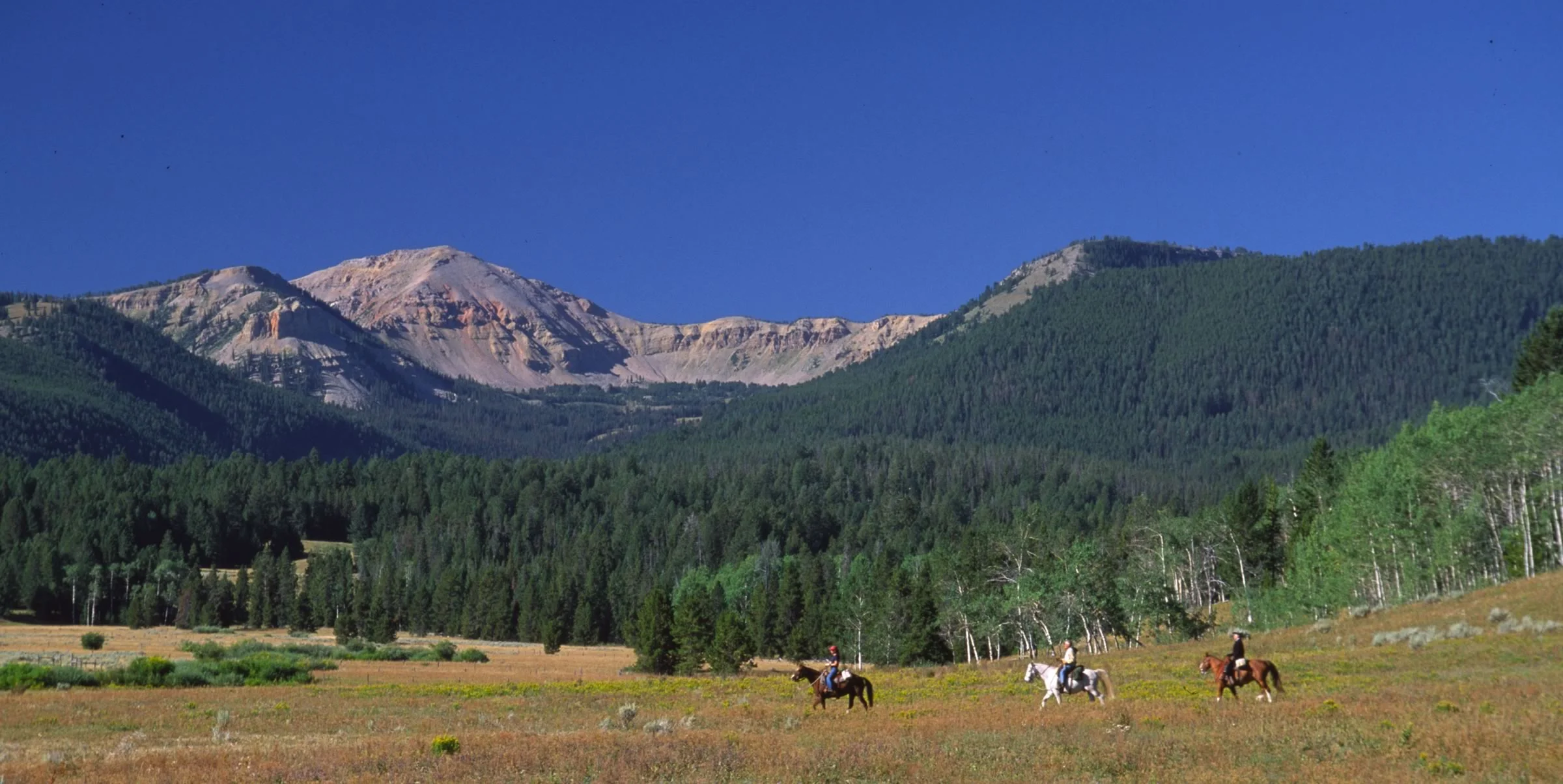 Activities — Firehole Ranch