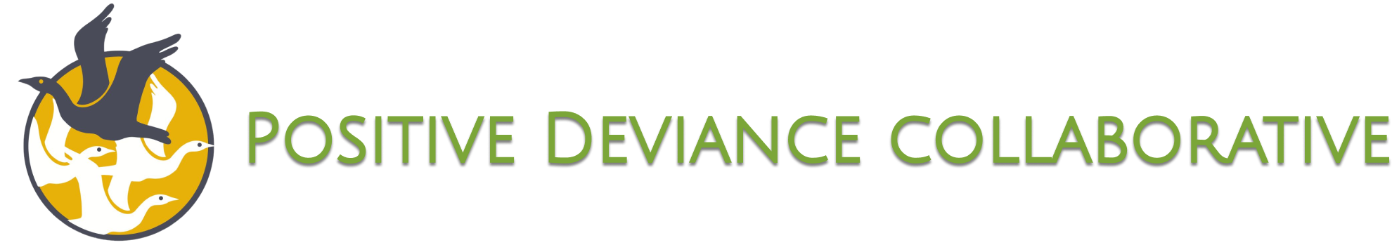 The Power Of Positive Deviance