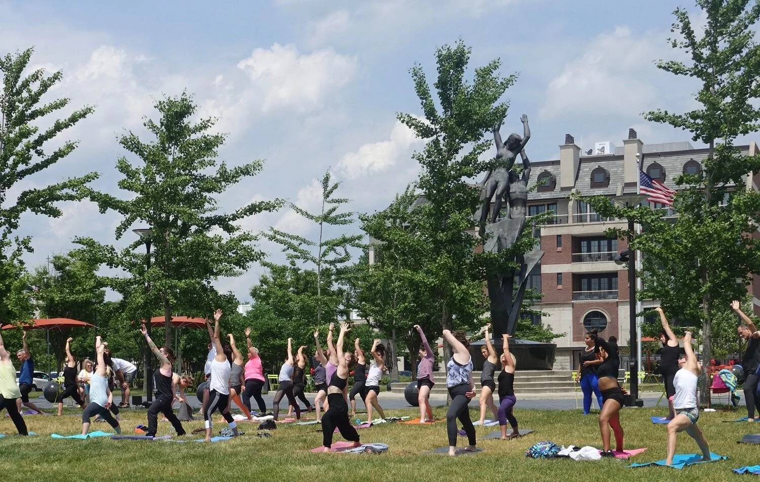 Bold Flow | Metro Detroit Yoga Studios