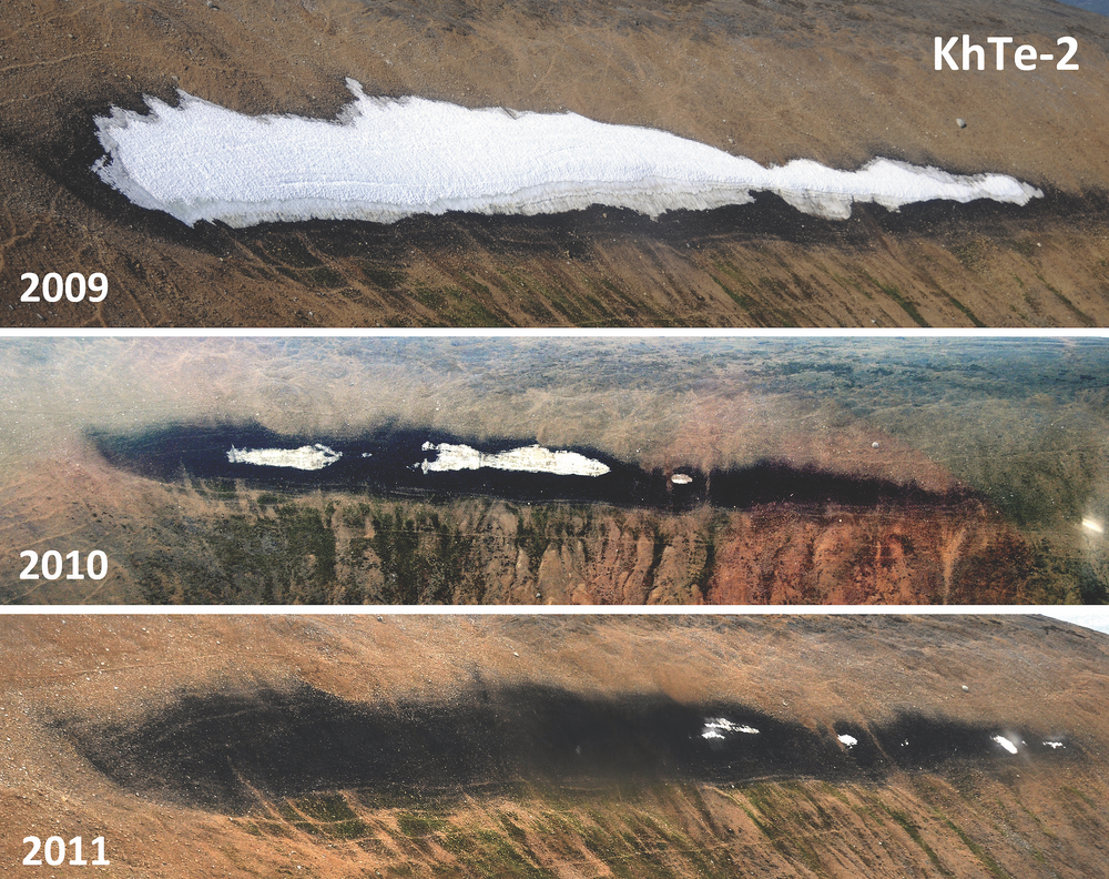 Rapid Loss of Perennial Alpine Ice Patches, Selwyn and Mackenzie ...