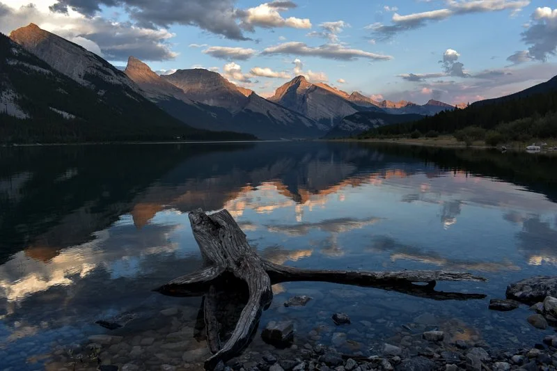 2024 ACC National Photo Contest Winners — ACC Archived Blog