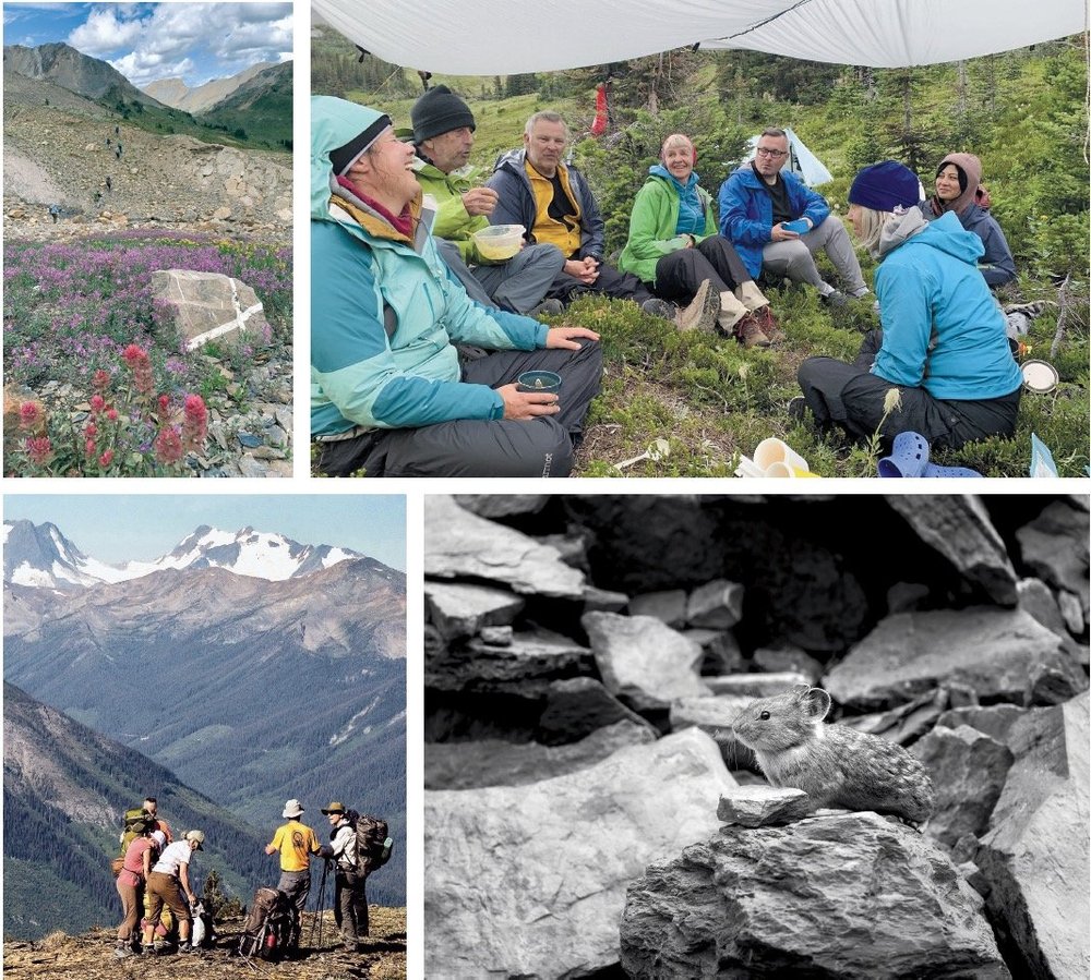 Trekking in the Dogtooth Range — Aspects