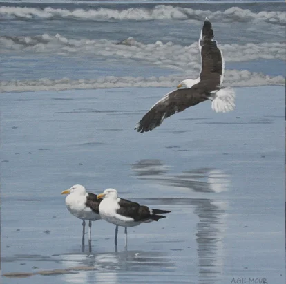 See the paintings — Alison Gilmour | painter in oils