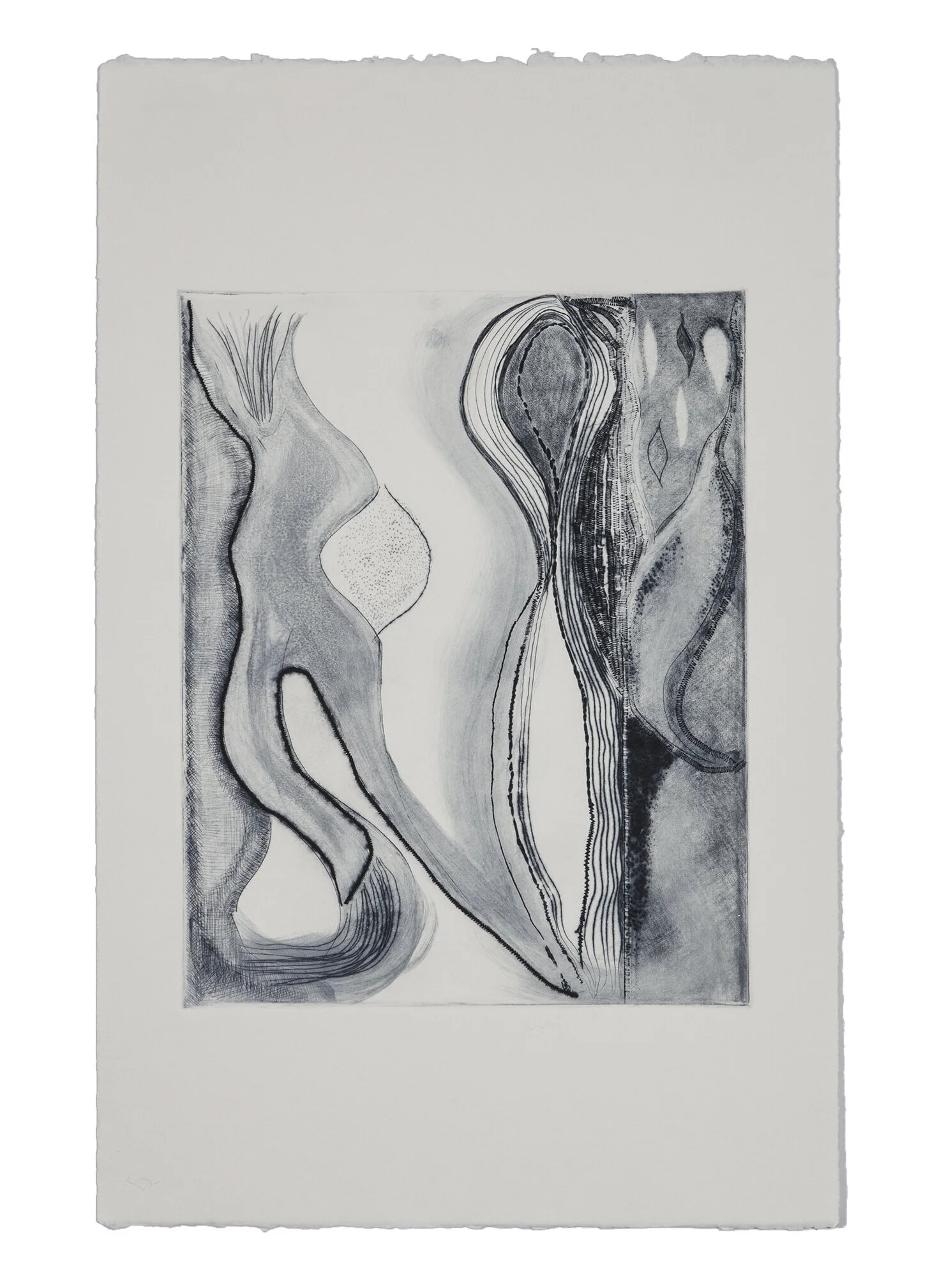 OTHER WORKS — CAROL MORRISON