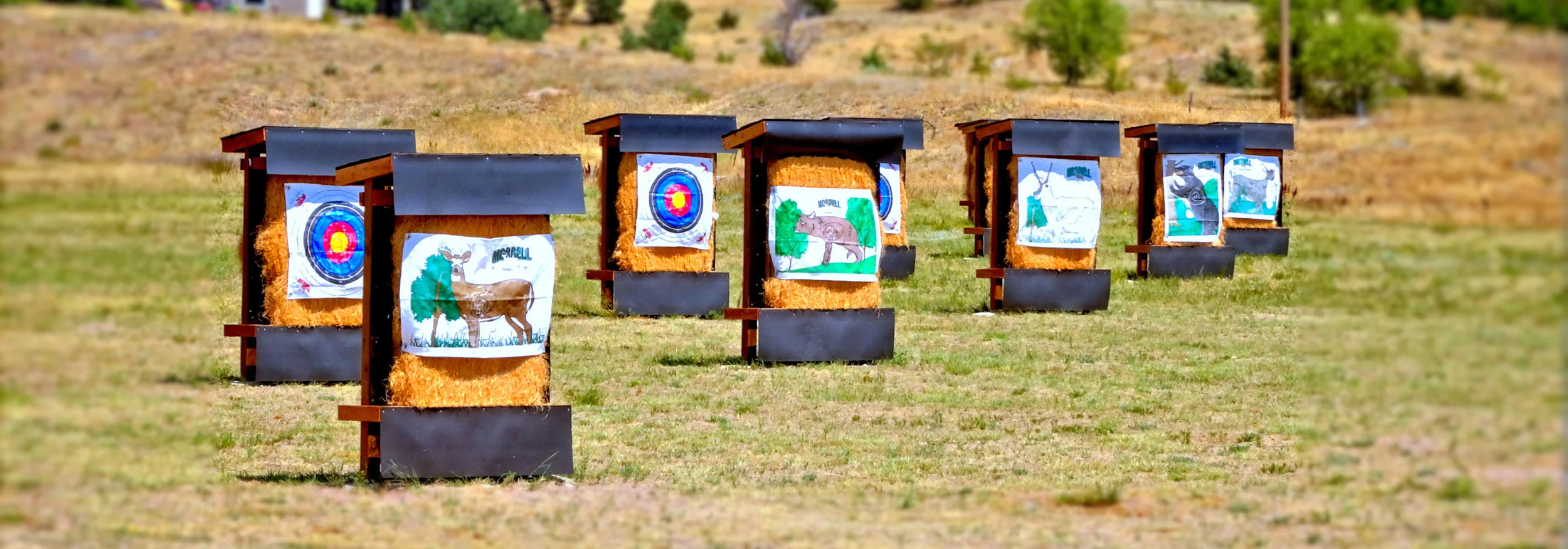 Archery — Sidney Shooting Park