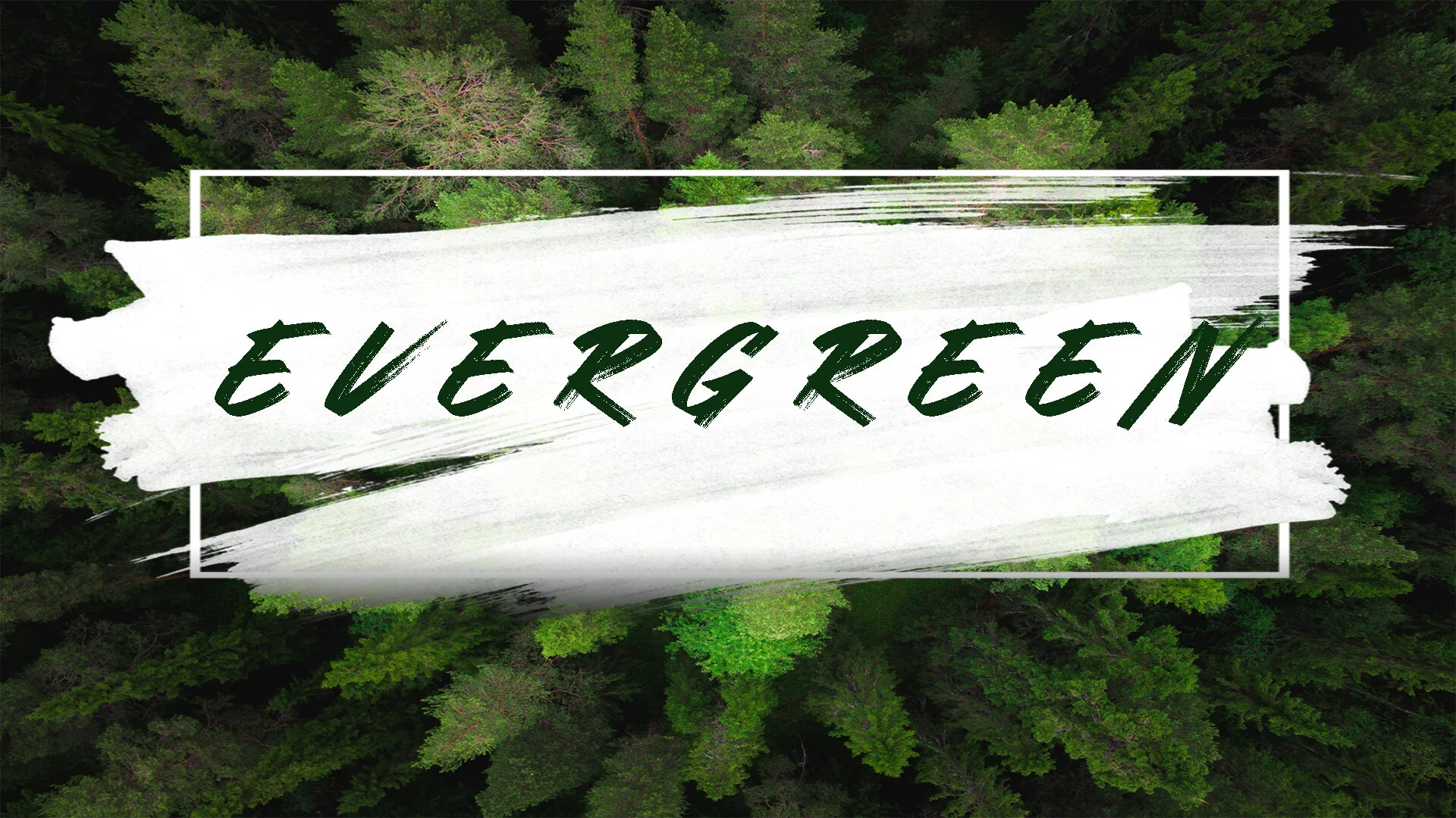 Messages — Summerbrook Church