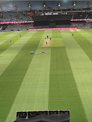 Melbourne Renegades Big Bash Marvel Stadium Corporate Box Tickets and ...