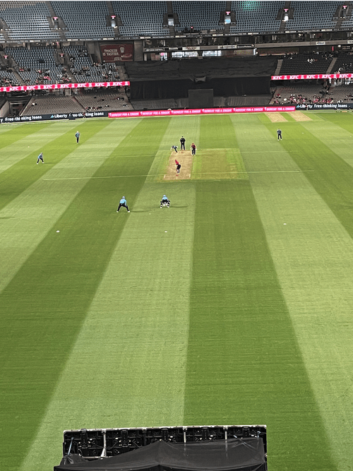 Melbourne Renegades Big Bash Marvel Stadium Corporate Box Tickets and ...