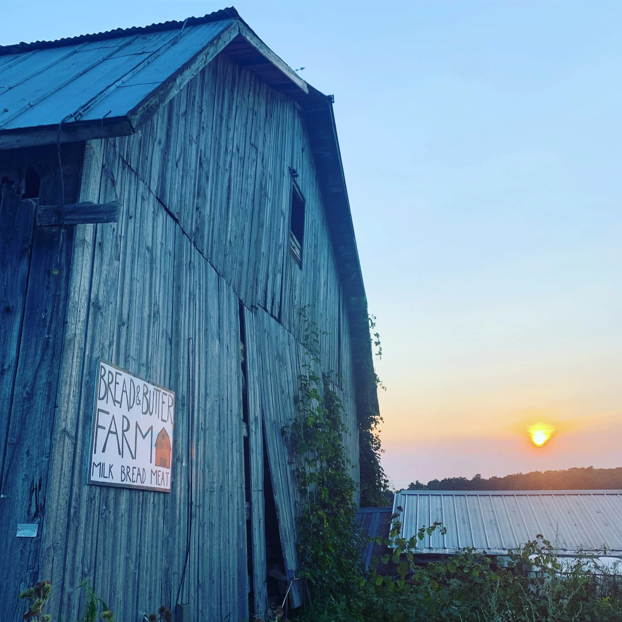 Events calendar — Bread and Butter Farm