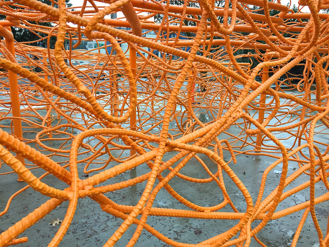 Reclaimed — Jean Shin