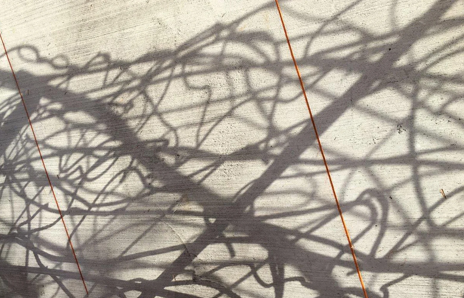 Reclaimed — Jean Shin