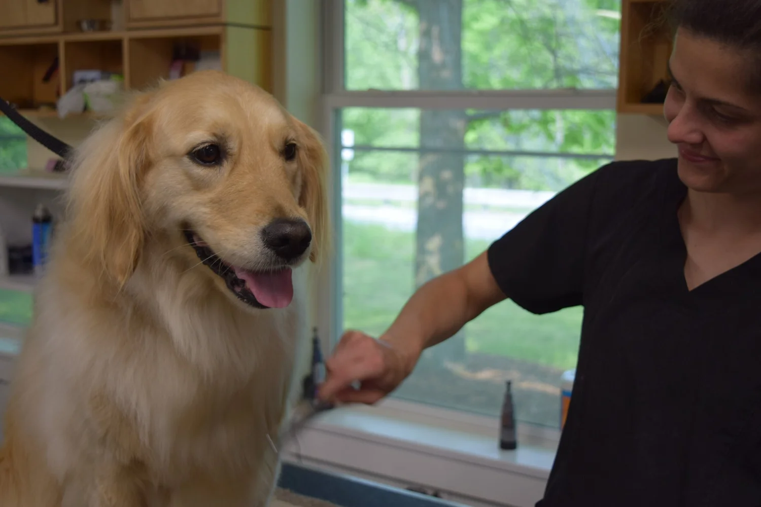 Grooming Services — Doggie Styles Salon Vermont