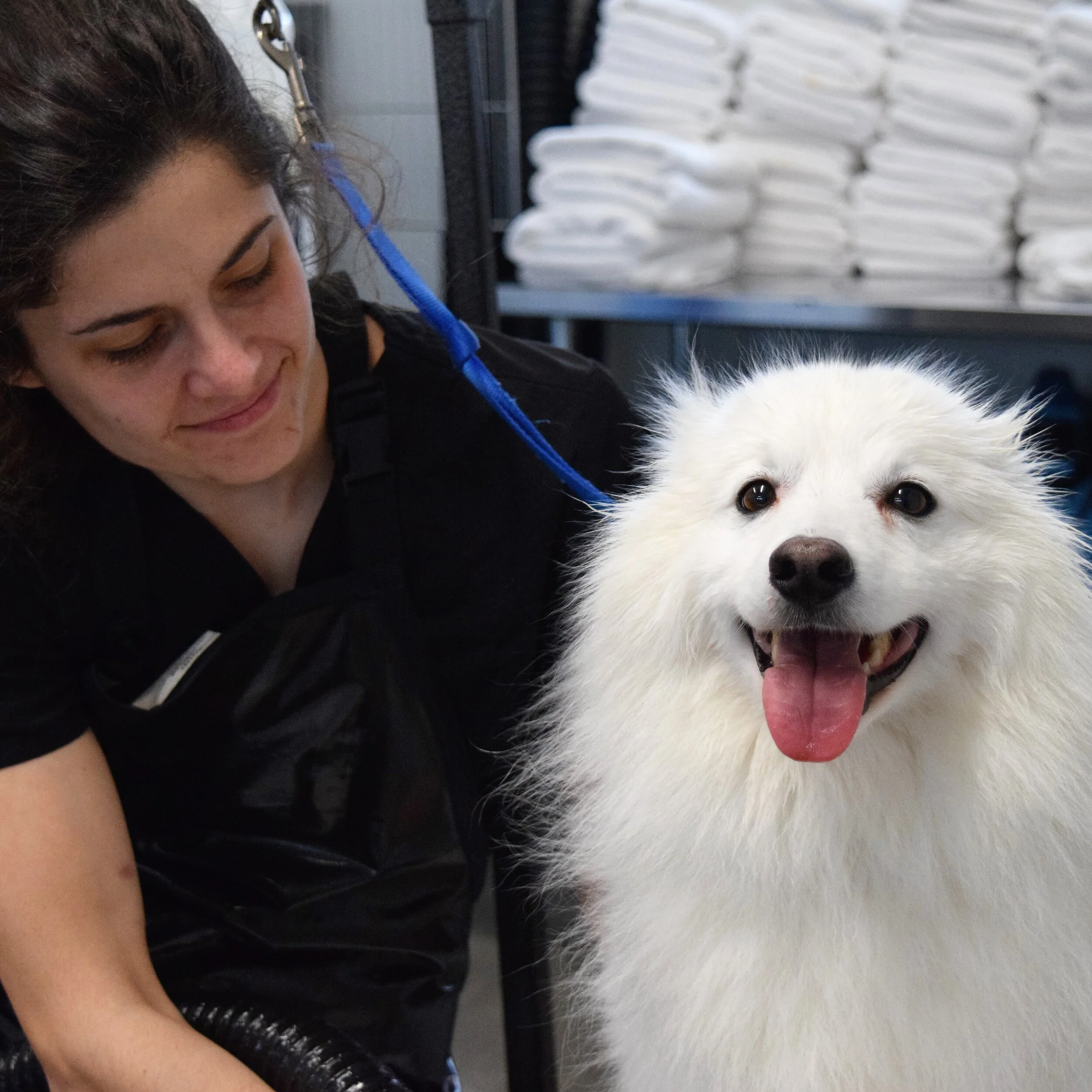 Doggie Styles Salon Vermont