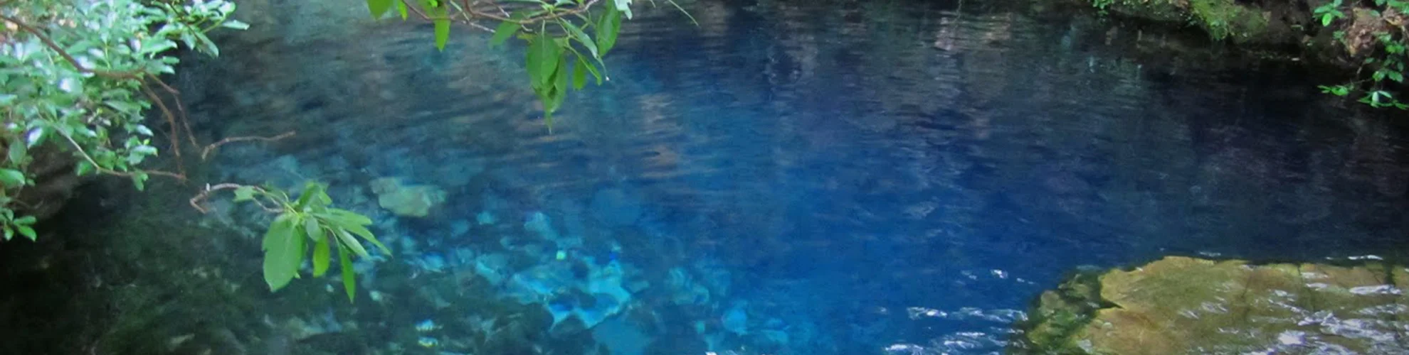 Why is Spring Water Better