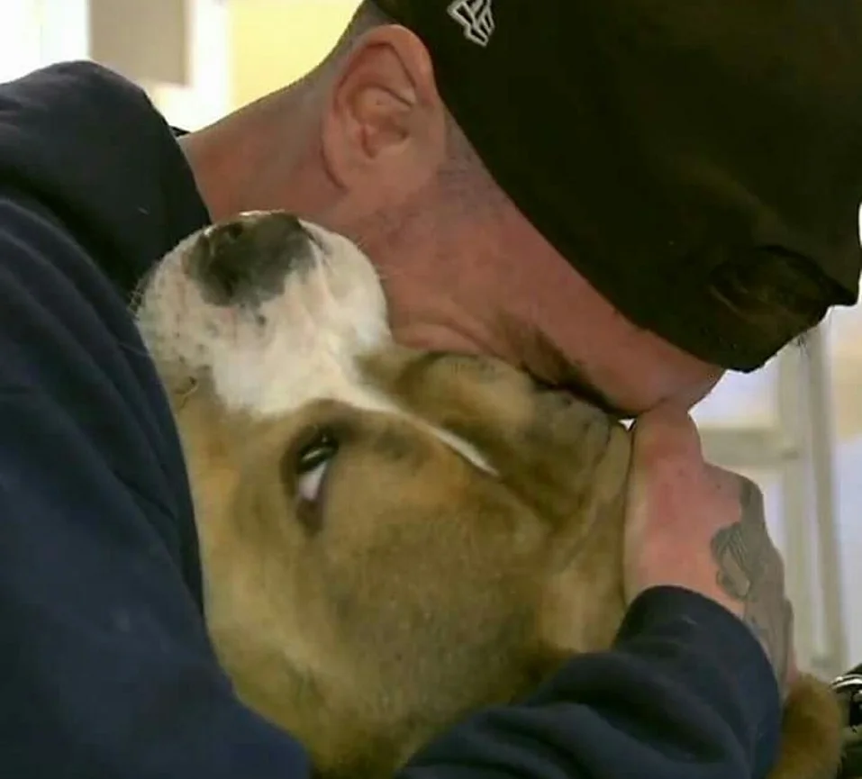 PTSD Service Dogs — Paws of War