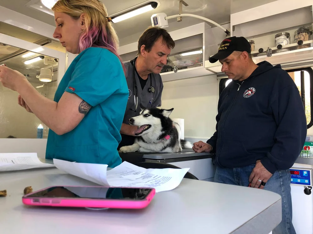 Vets2Vets Clinic Schedule — Paws of War