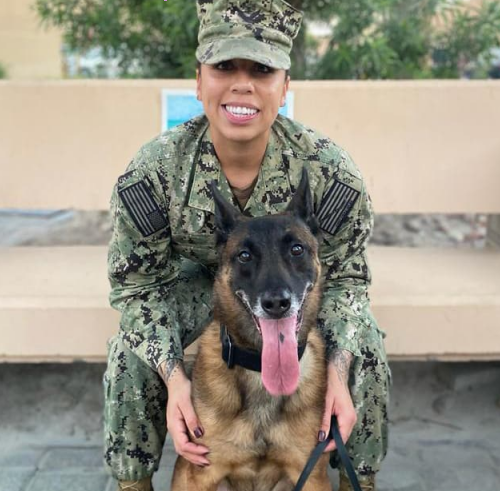 MWD - Military Working Dogs — Paws of War