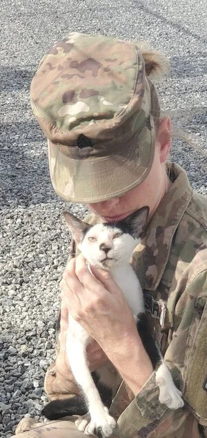 War Torn Pups & Cats — Paws of War