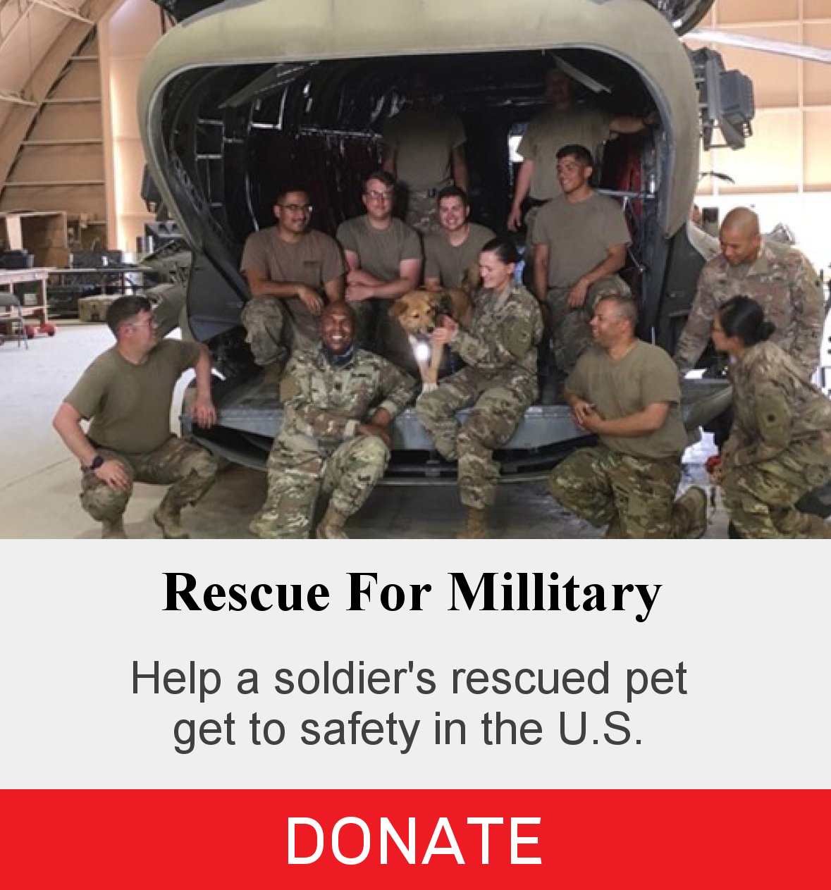 Donate Today — Paws of War