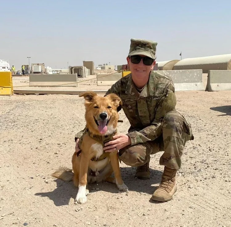 MWD - Military Working Dogs — Paws of War