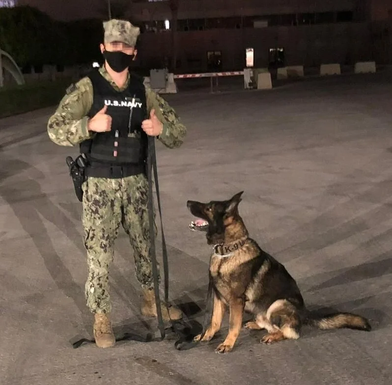 MWD - Military Working Dogs — Paws of War