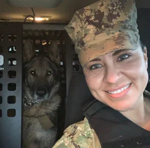 MWD - Military Working Dogs — Paws of War