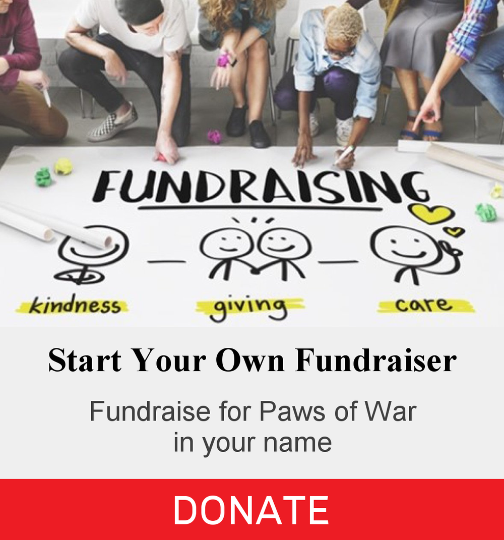 Donate Today — Paws of War
