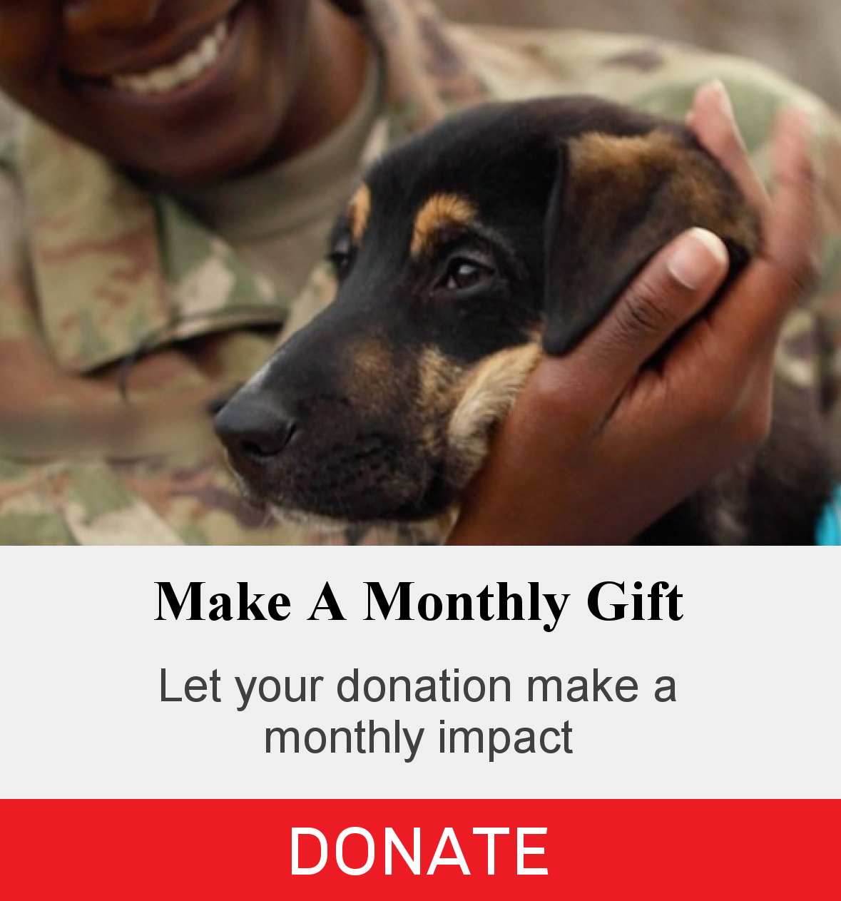 Donate Today — Paws of War
