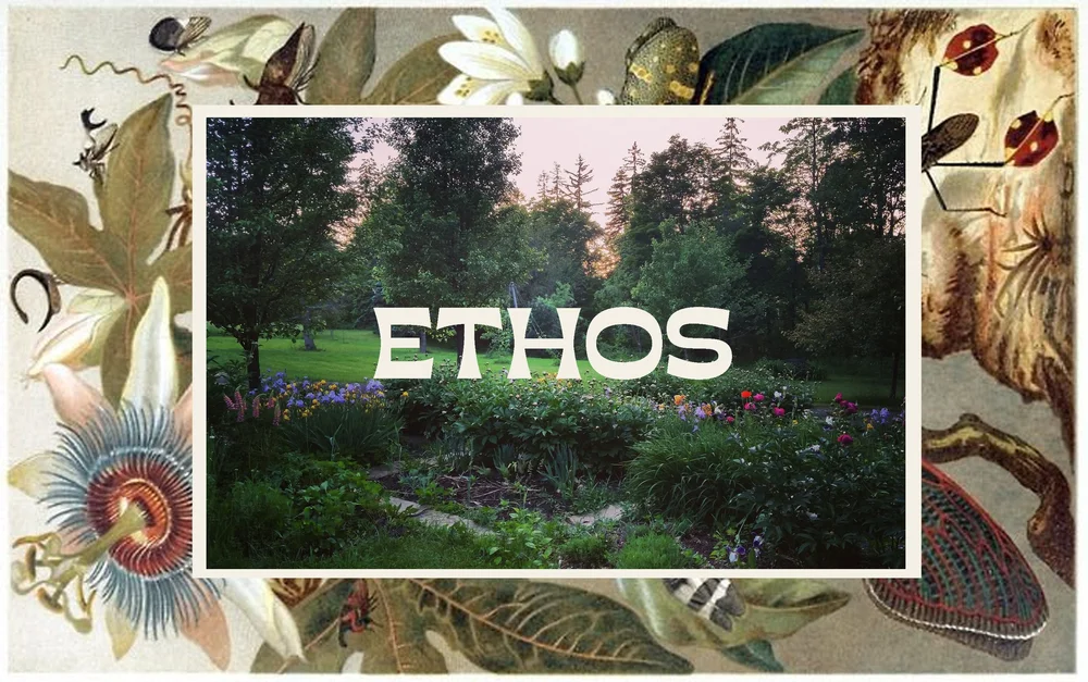 Ethos — THE KIRK ESTATE