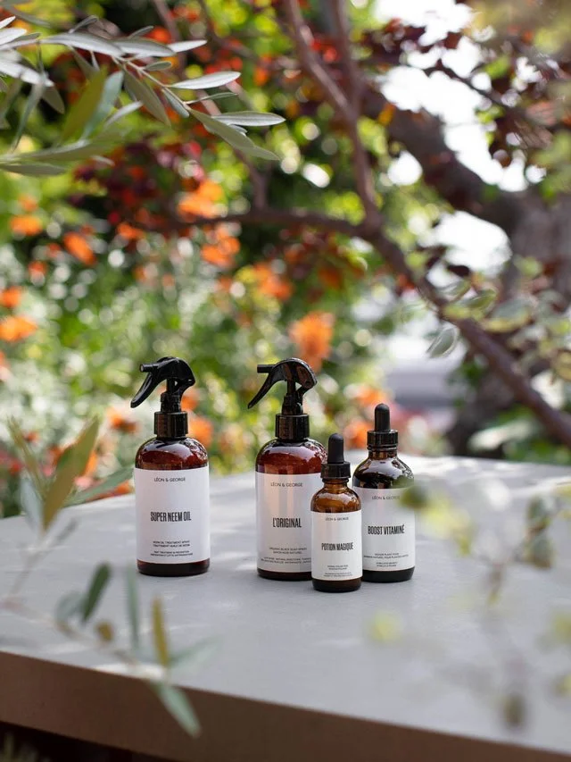 Neem Oil For Plants: What Is It & How To Use It — Plant Care Tips and ...