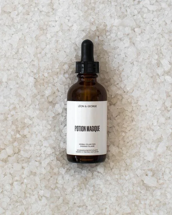 Plant Food 101: What is Foliar Feeding? — Plant Care Tips and More · La ...