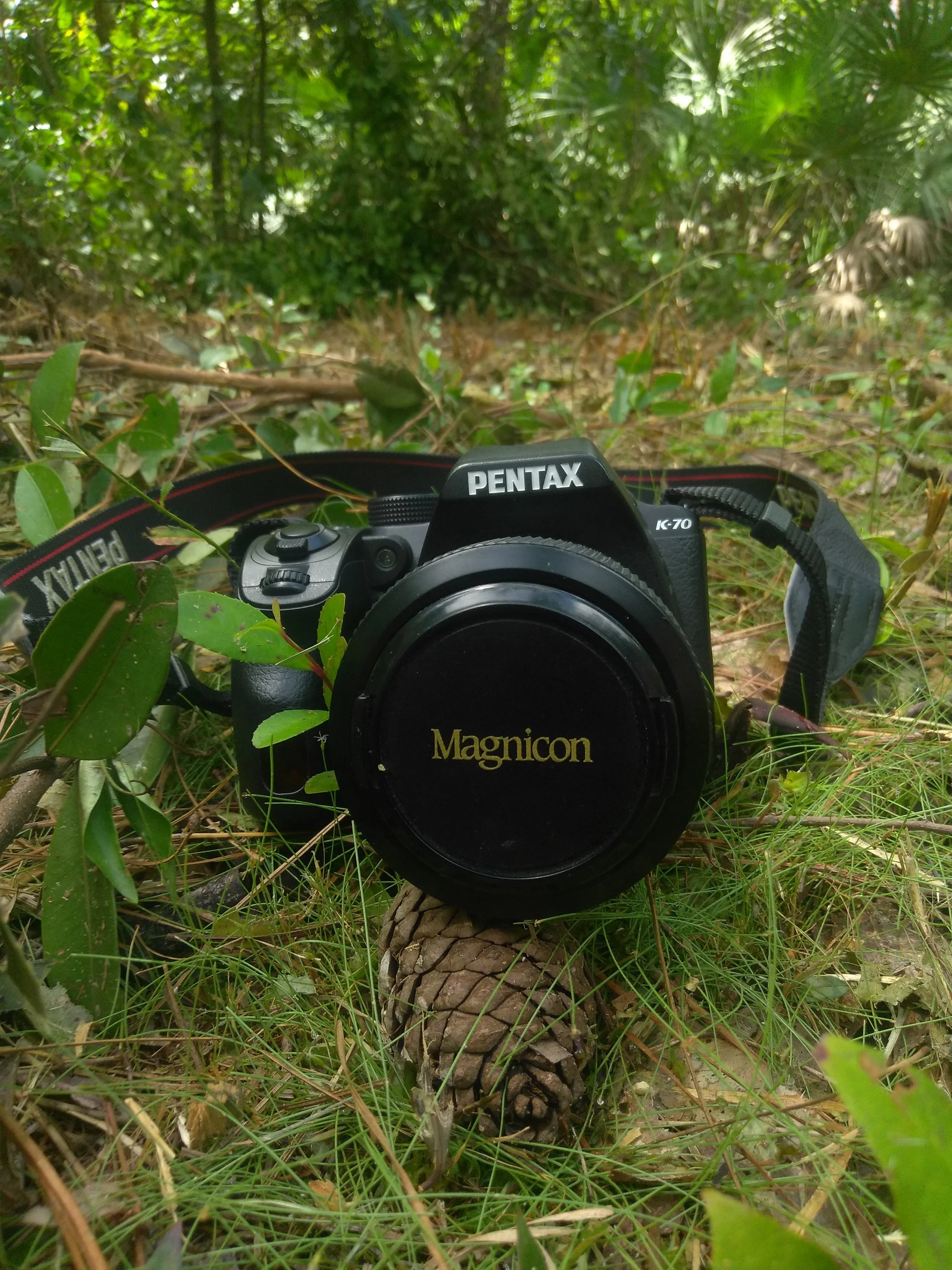 What's a Magnicon?! Time for another cheap lens test!