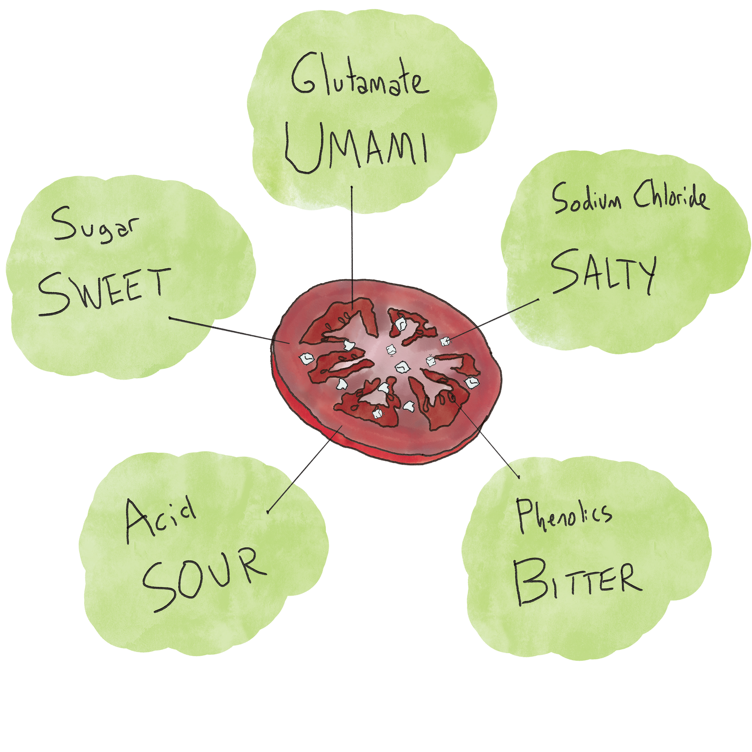 Read works by Arielle Johnson: Mold, Lucky Peach, LA Times — Flavorama ...