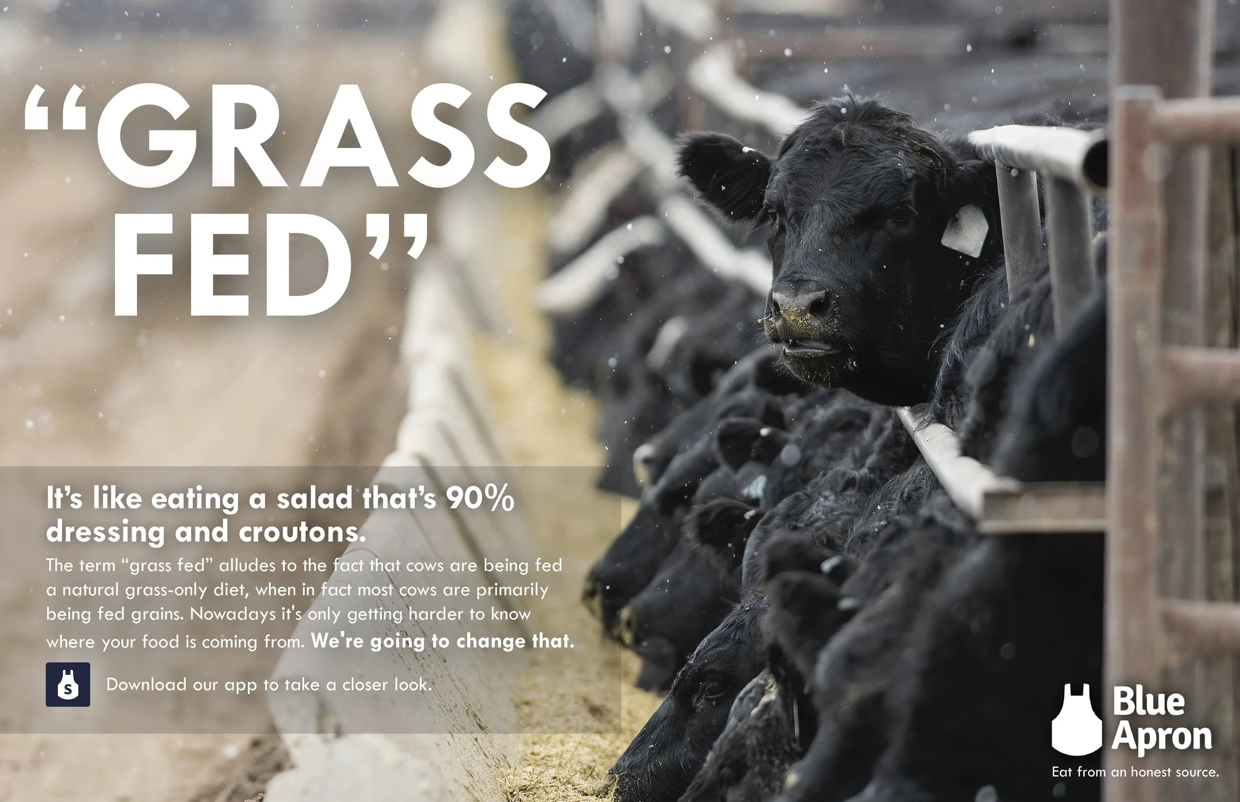 Blue Apron — Christina Hoang