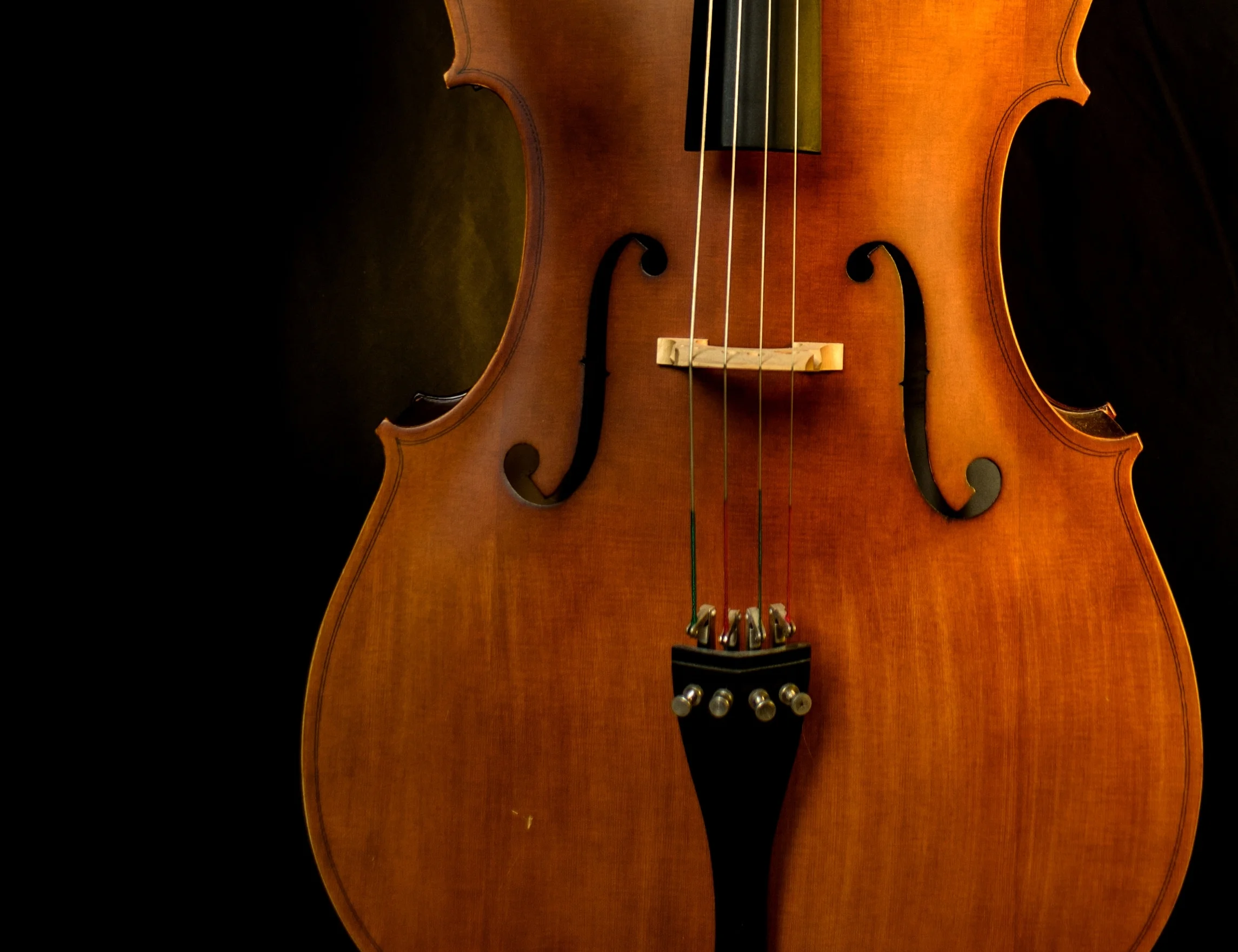 Megan Rosbury Strings Professional
