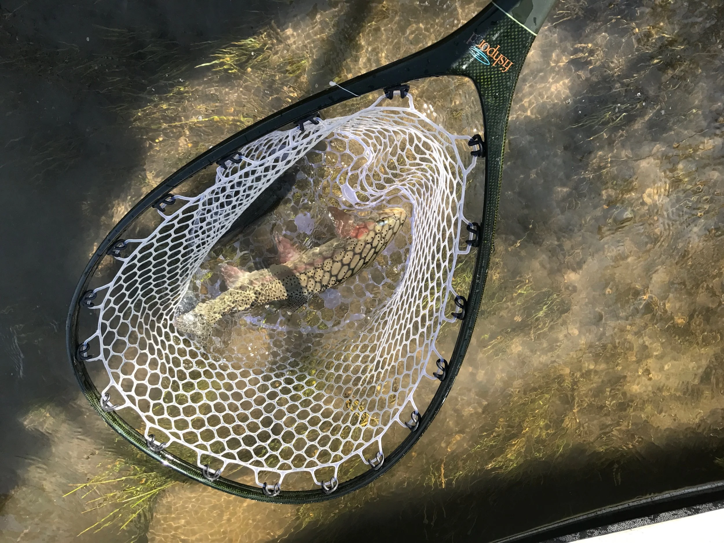 Yellowstone River Fly Fishing | Float & Wade Guided Trips