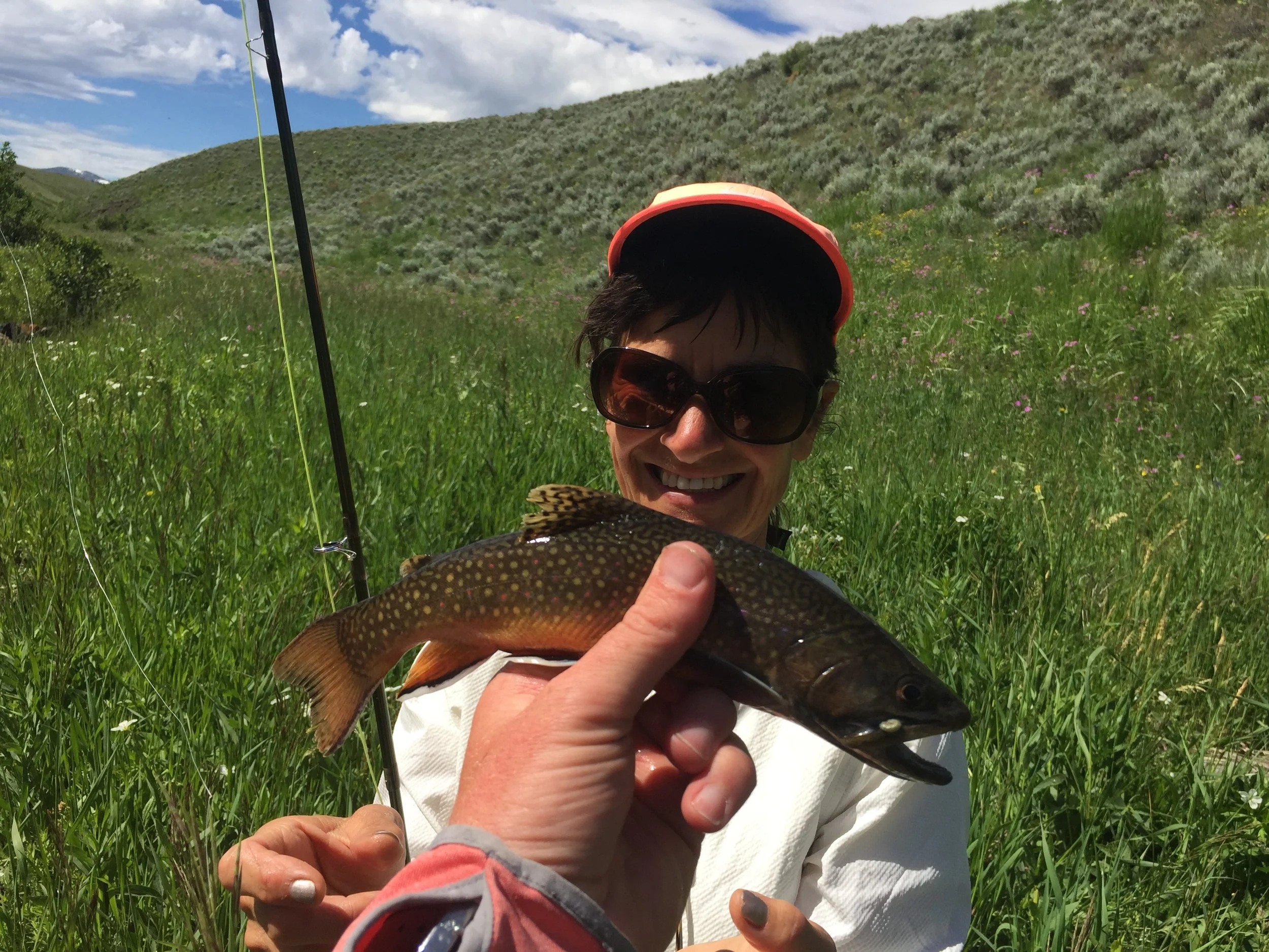 Walk-wade trips — Yellowstone River Outfitters