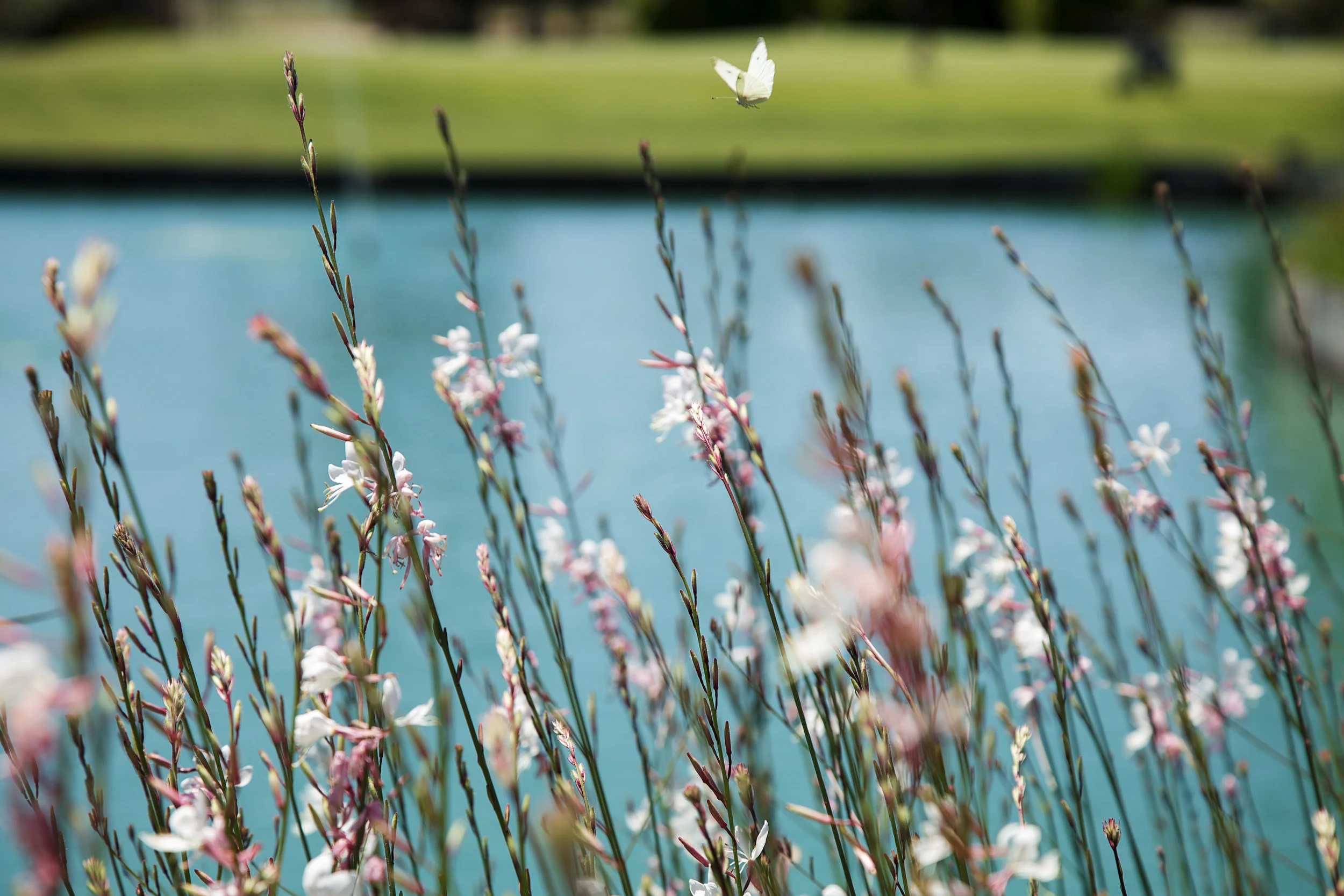 Contact — Howlong Golf Resort