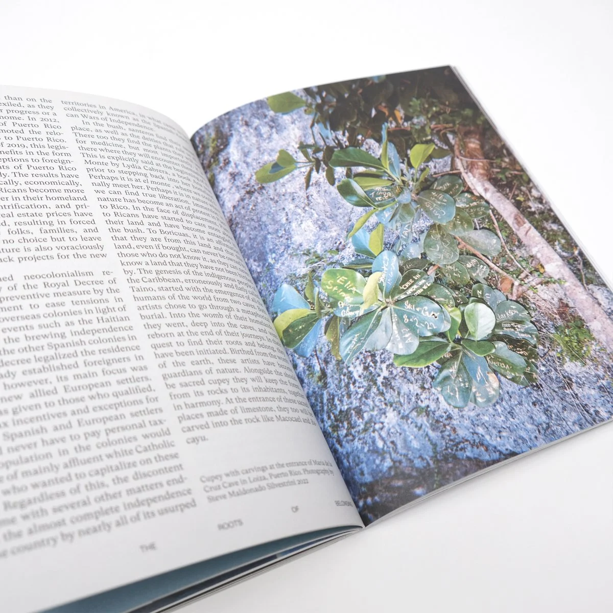 Volume 05 - The Haunted Tropics — Forgotten Lands