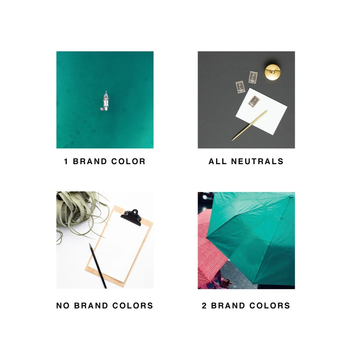 How to Match Website Images to Your Color Palette — NAV Creative