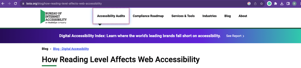 Understanding Some Lesser-Known WCAG Compliance Guidelines — NAV Creative